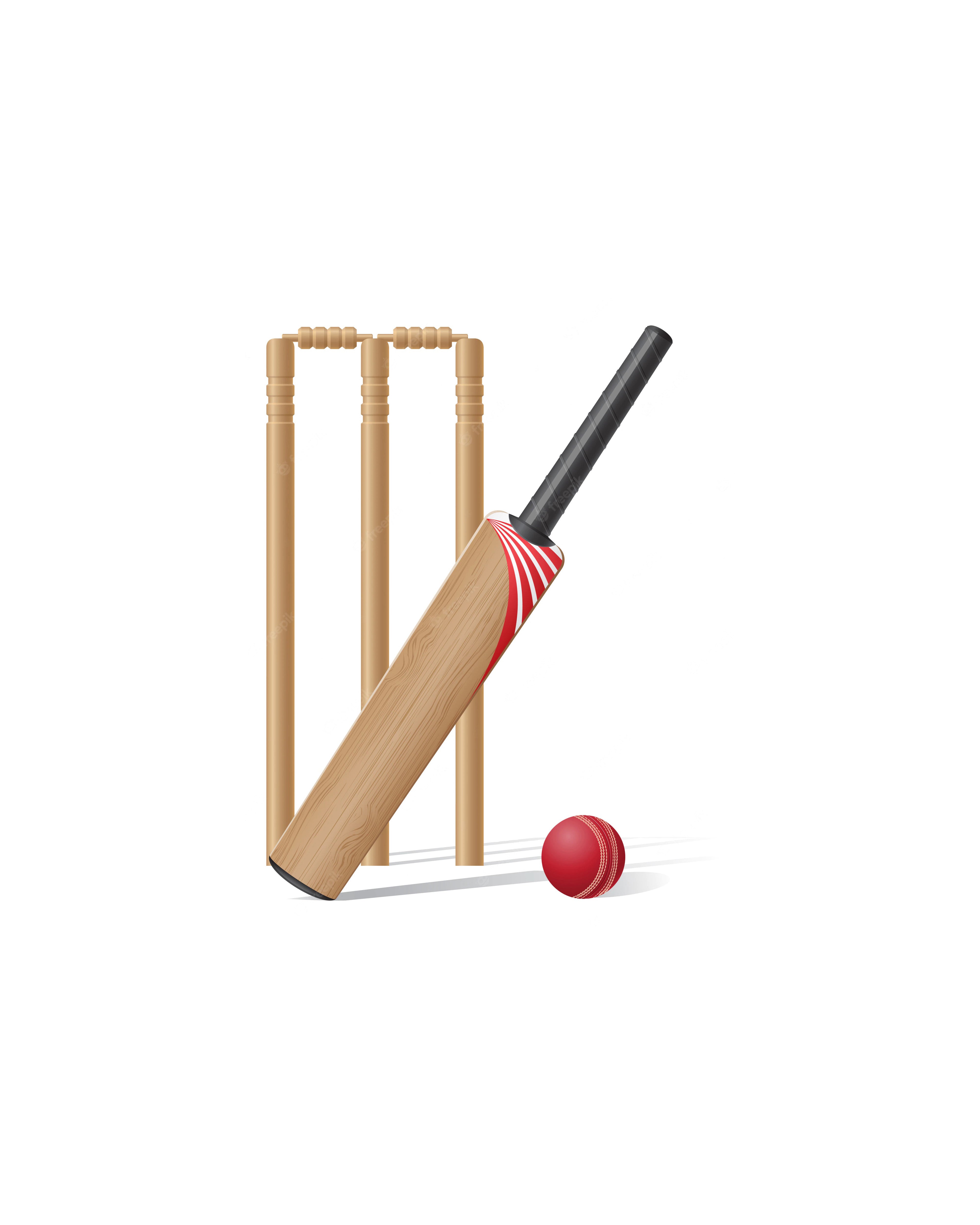 Cricket Coaching – Newlands Sports